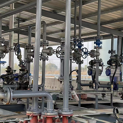 Site Of Hubei Jingmen Insecticide Project - FLOWX Valve